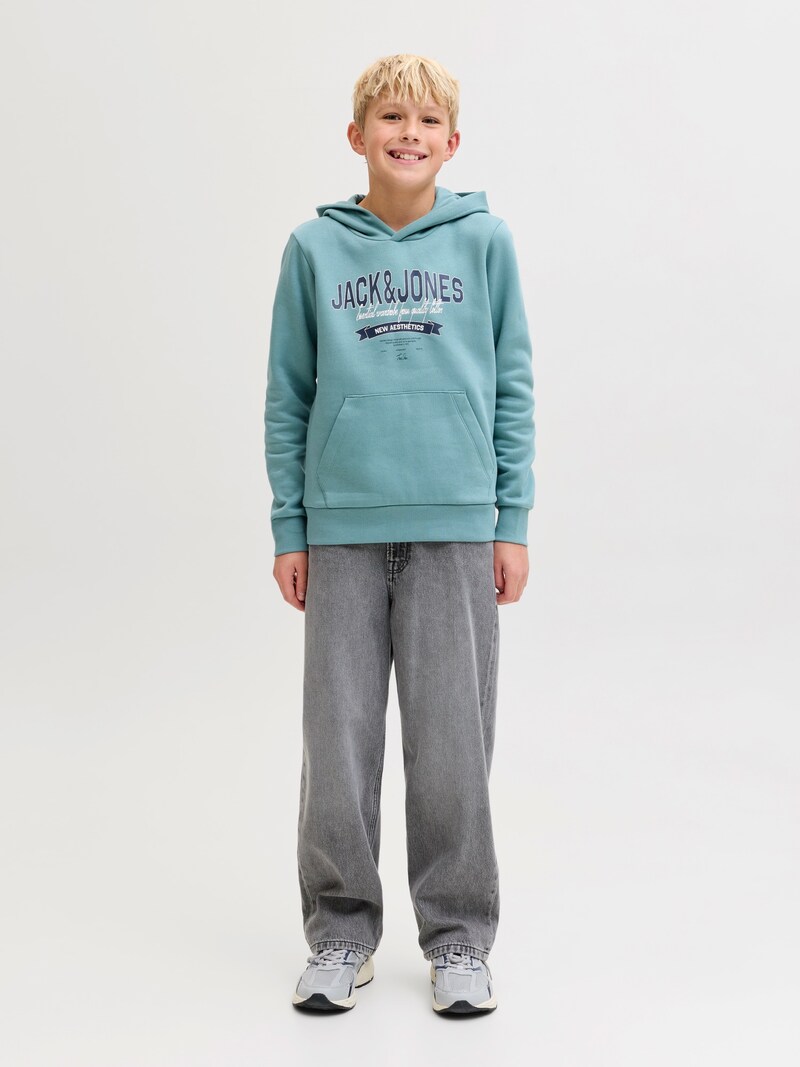 Baggy Jean 'JJIALEX JJORIGINAL' Jack & Jones Junior en Gris Denim ...