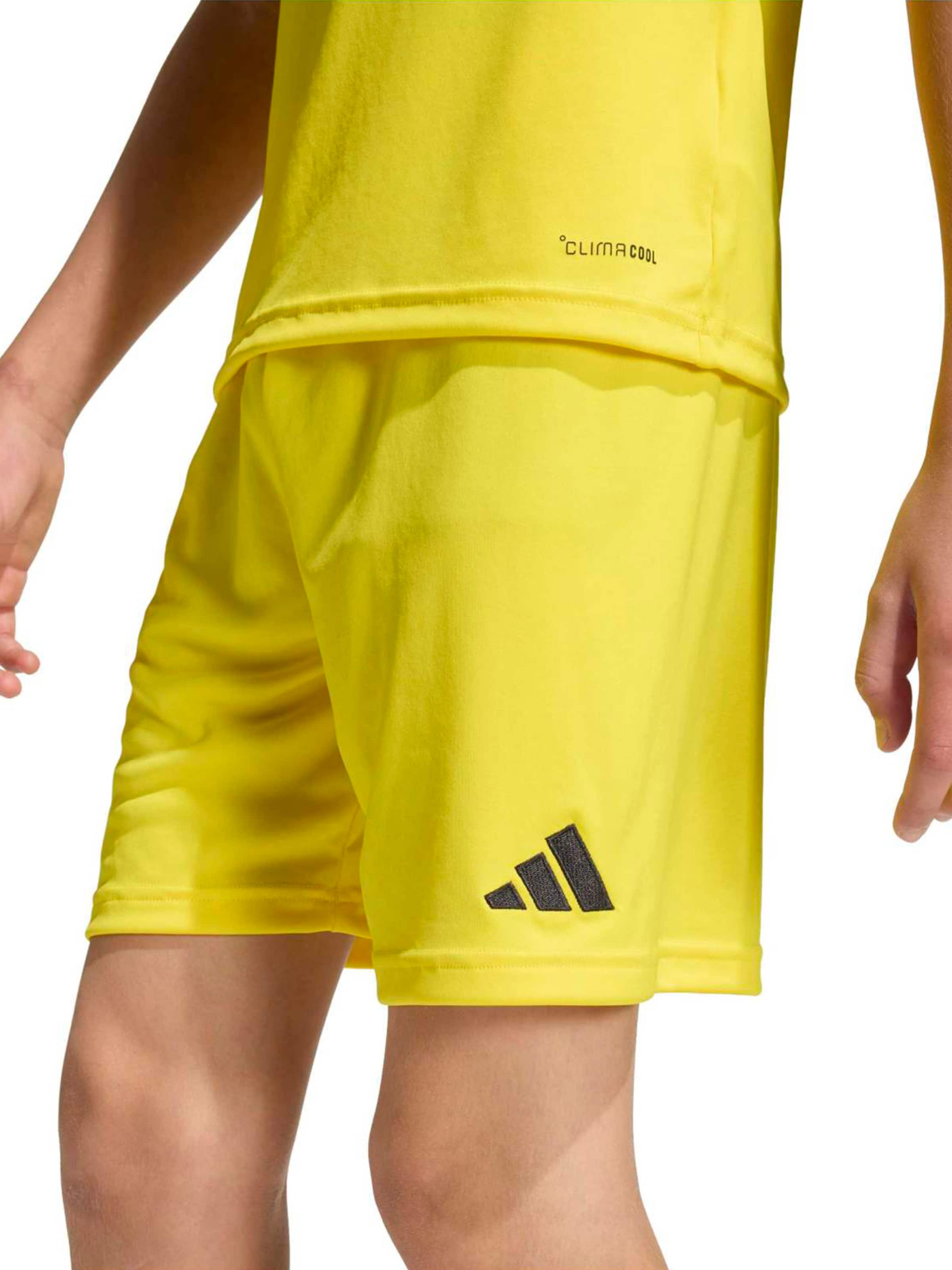 ADIDAS PERFORMANCE Štandardný strih Športové nohavice 'ENT26' vo farbe ...
