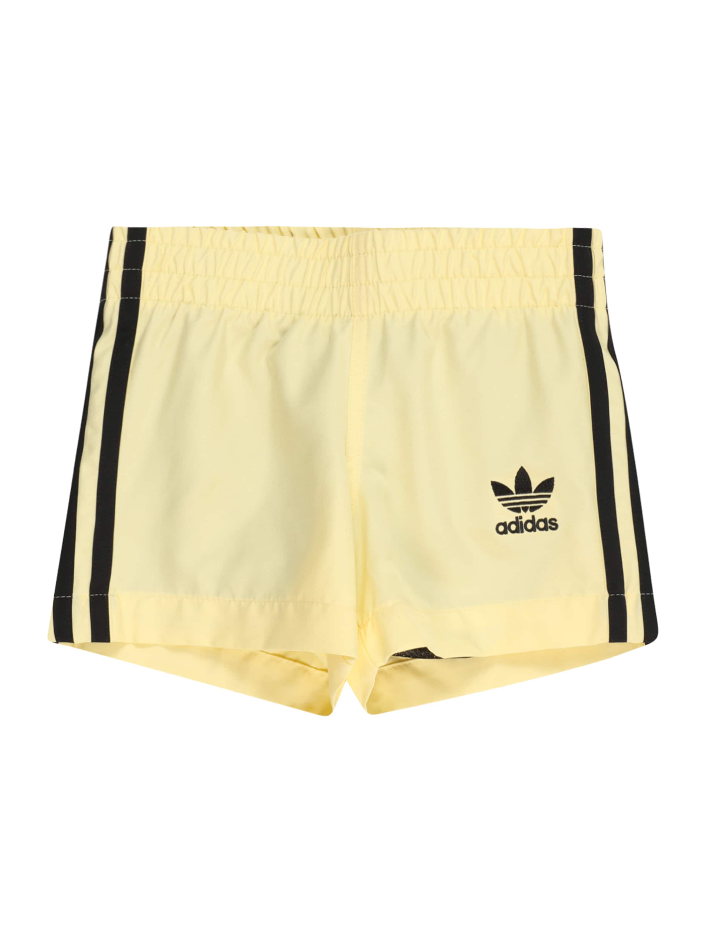 ADIDAS ORIGINALS regular Pantalón deportivo 'Adicolor 3-Stripes' en ...