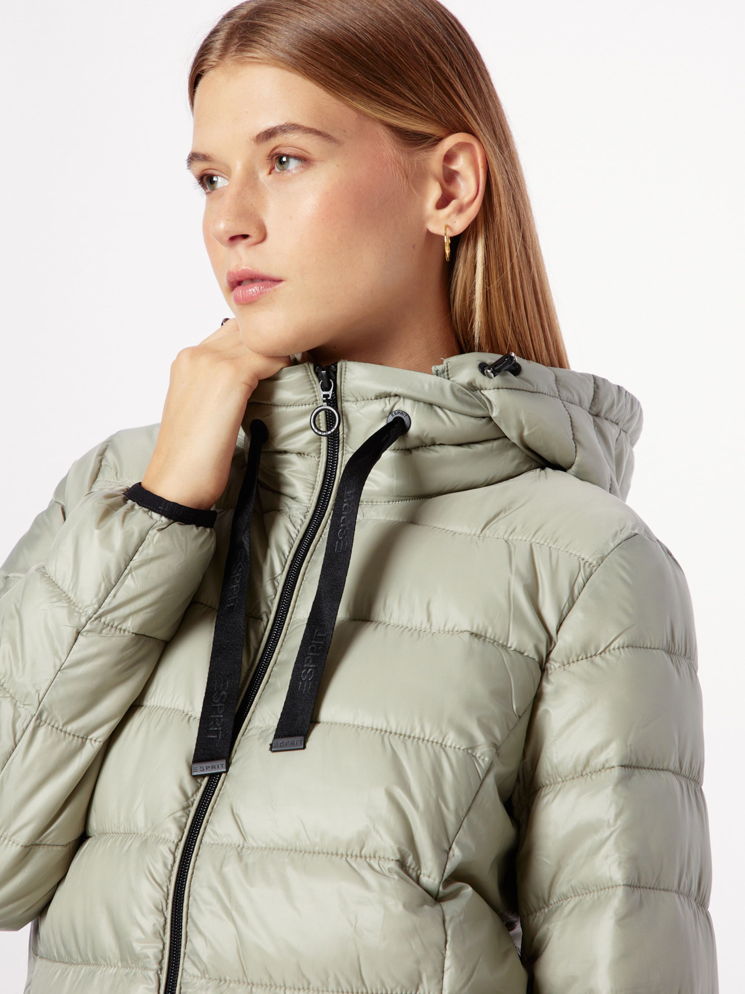 Esprit Bunda Sale Online | innoem.eng.psu.ac.th