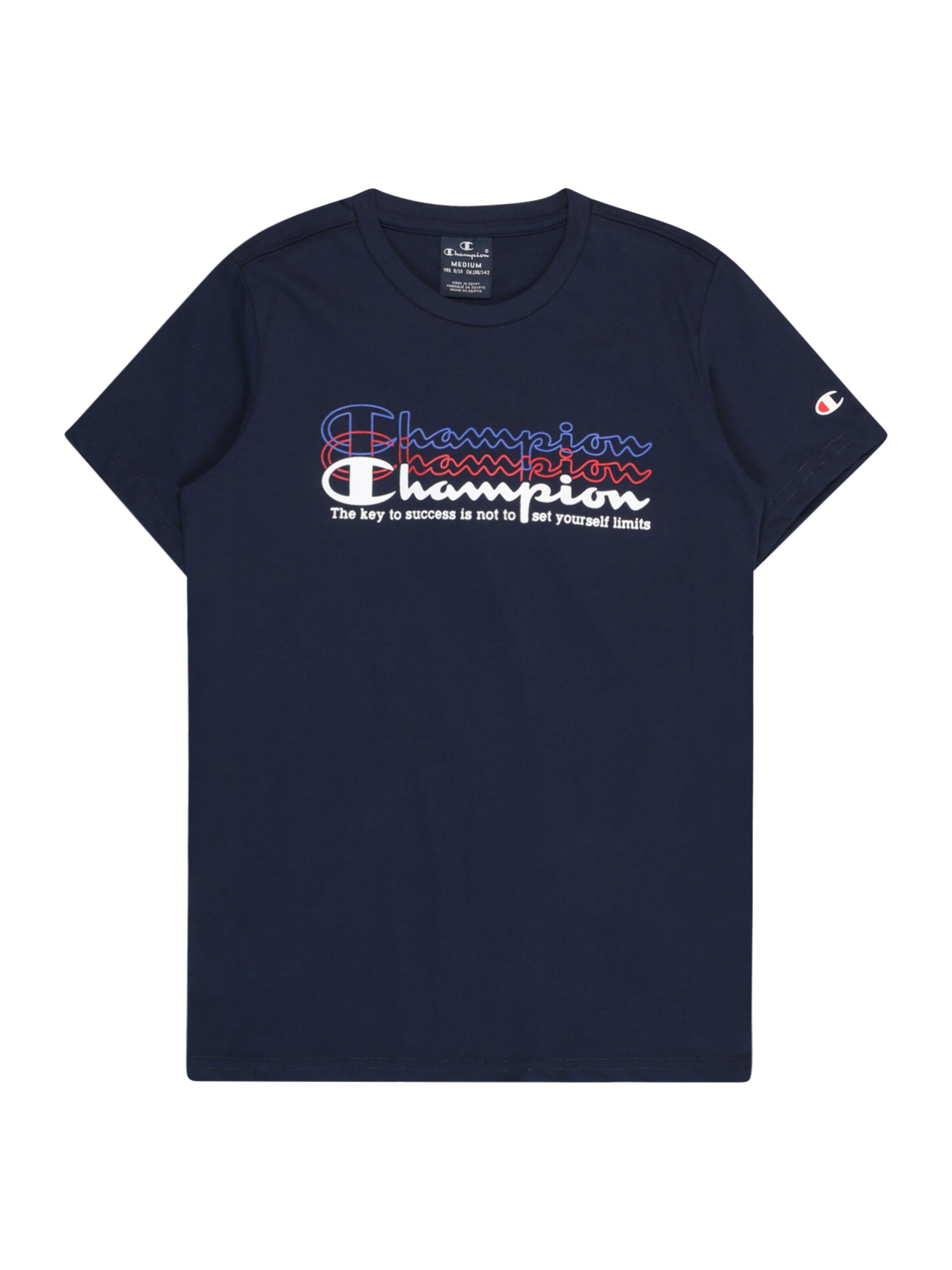 Champion Authentic Athletic Apparel Tričko (Nefritová) | ABOUT YOU