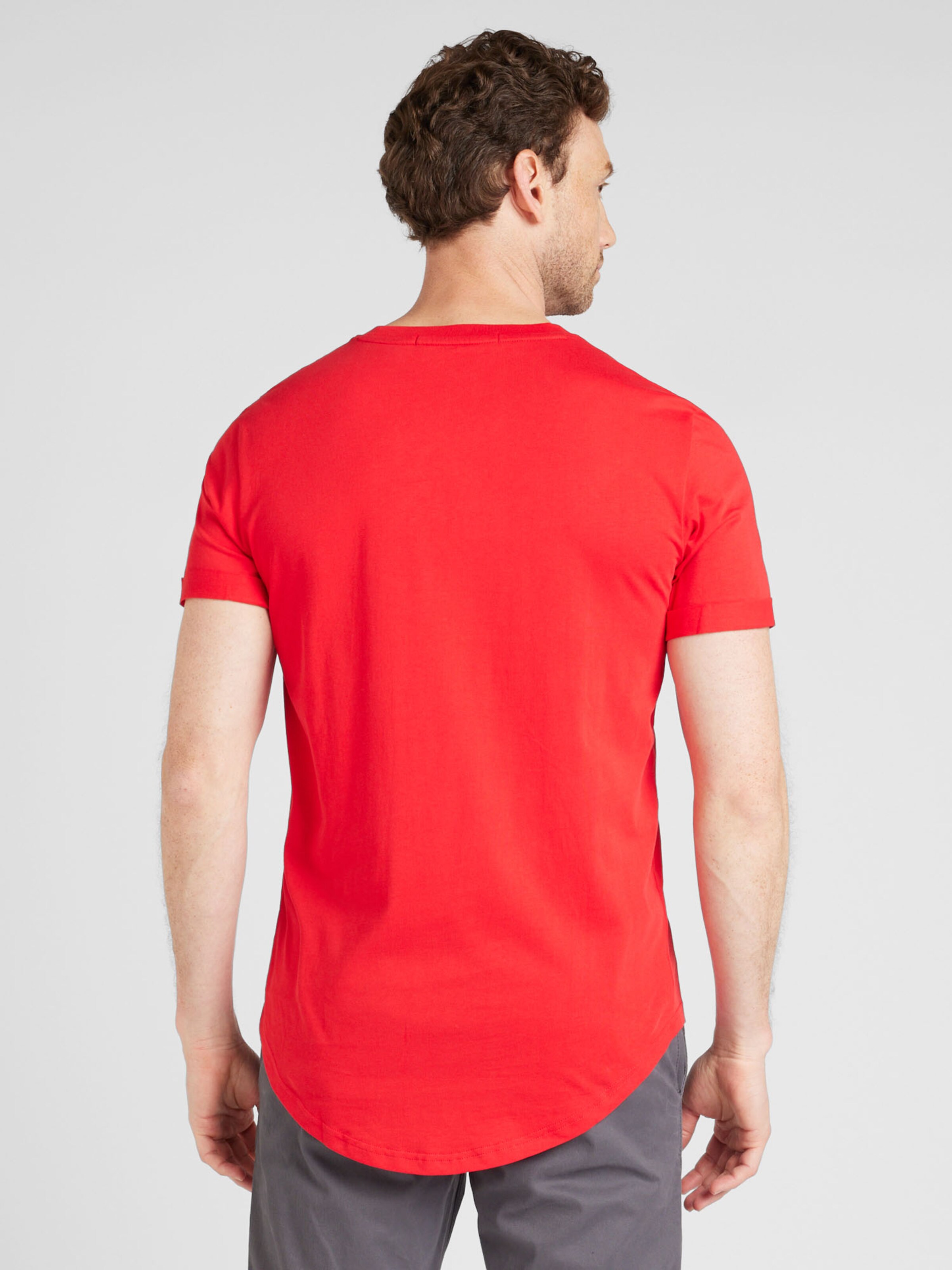Calvin Klein Jeans Shirt in Red ABOUT YOU