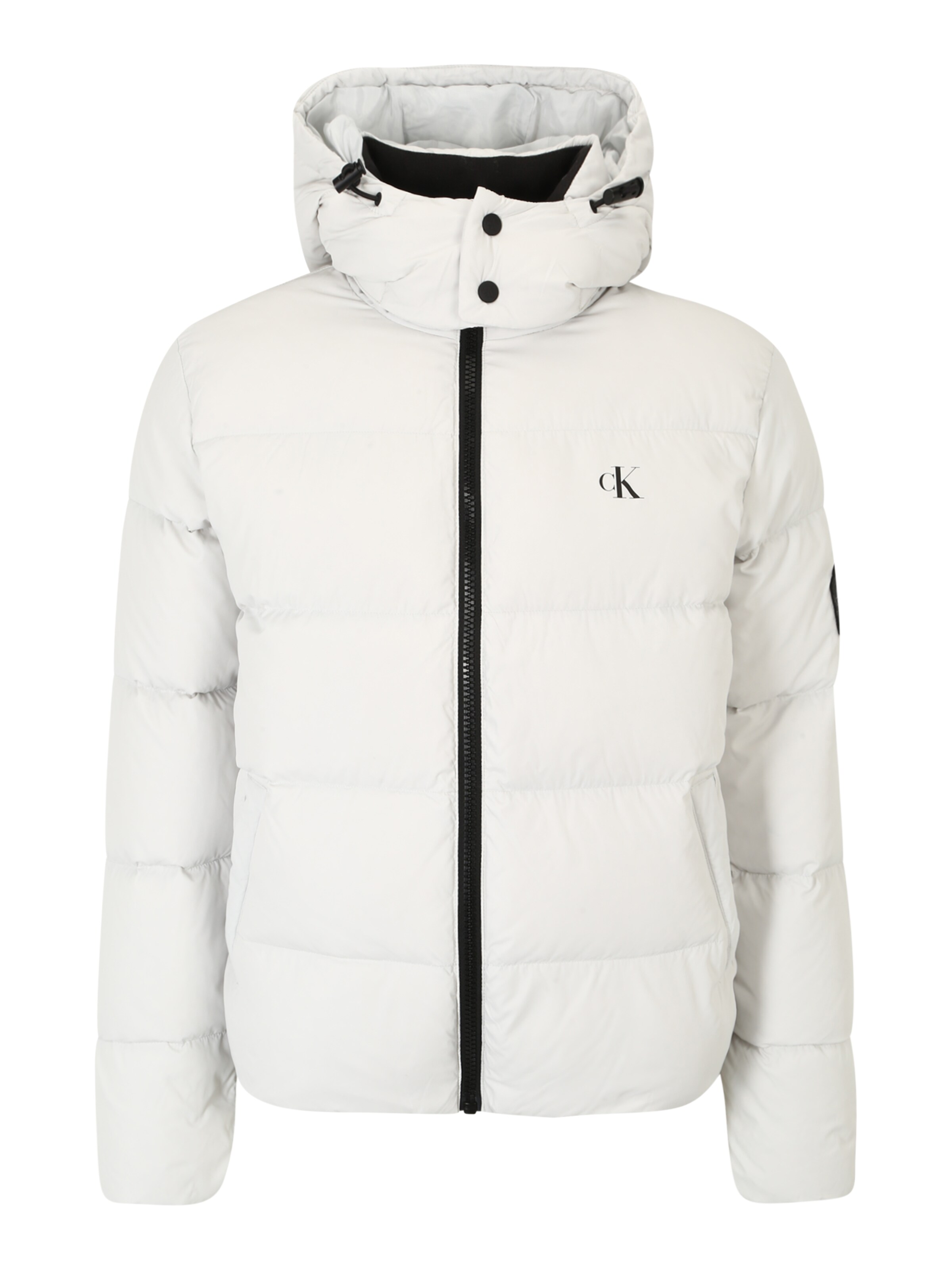 Pánske zimné bundy Calvin Klein Jeans » online na ABOUT YOU