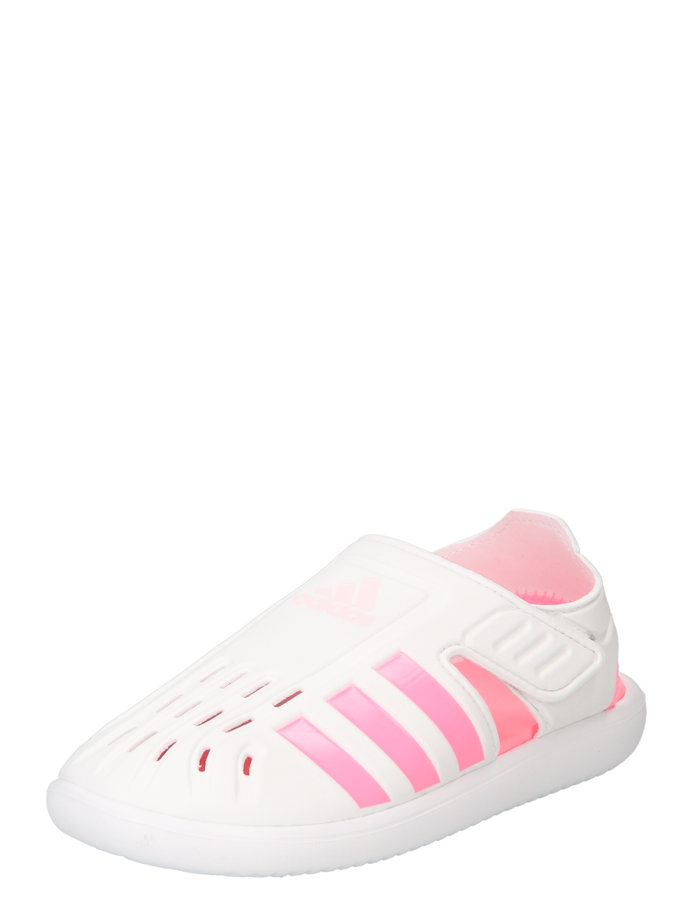ADIDAS SPORTSWEAR Zapatos para playa y agua 'Summer Closed Toe Water ...