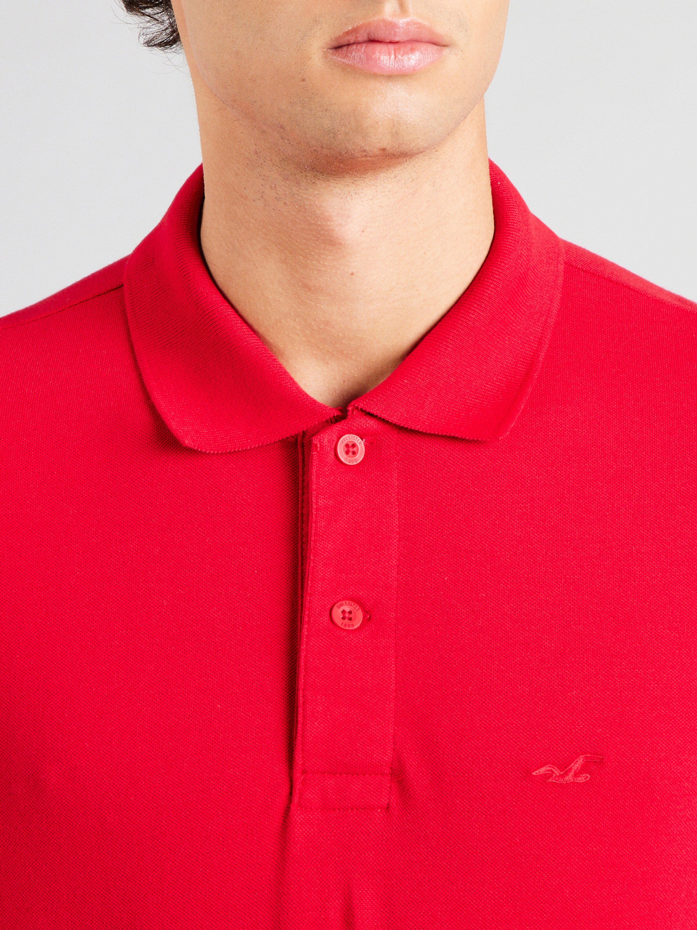 HOLLISTER Polo shirts for men Buy online ABOUT YOU