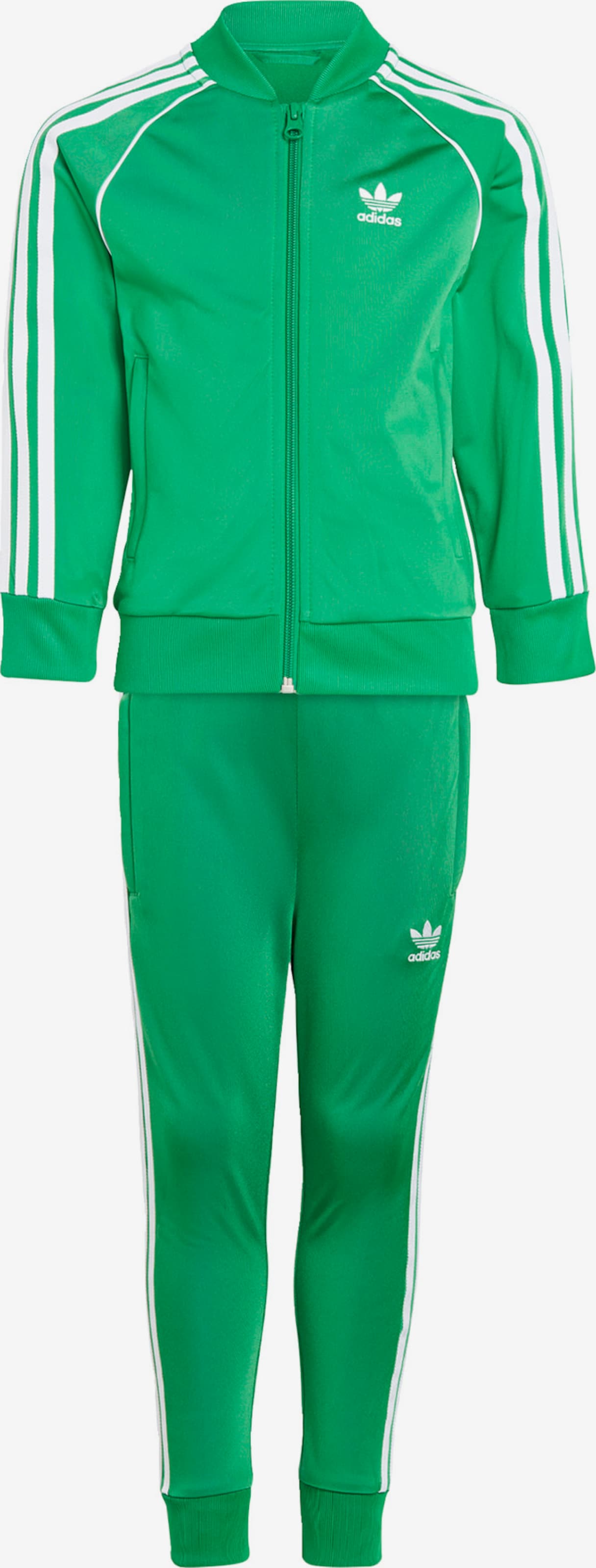 Žalia ADIDAS ORIGINALS Treningas 'Adicolor Sst' | ABOUT YOU