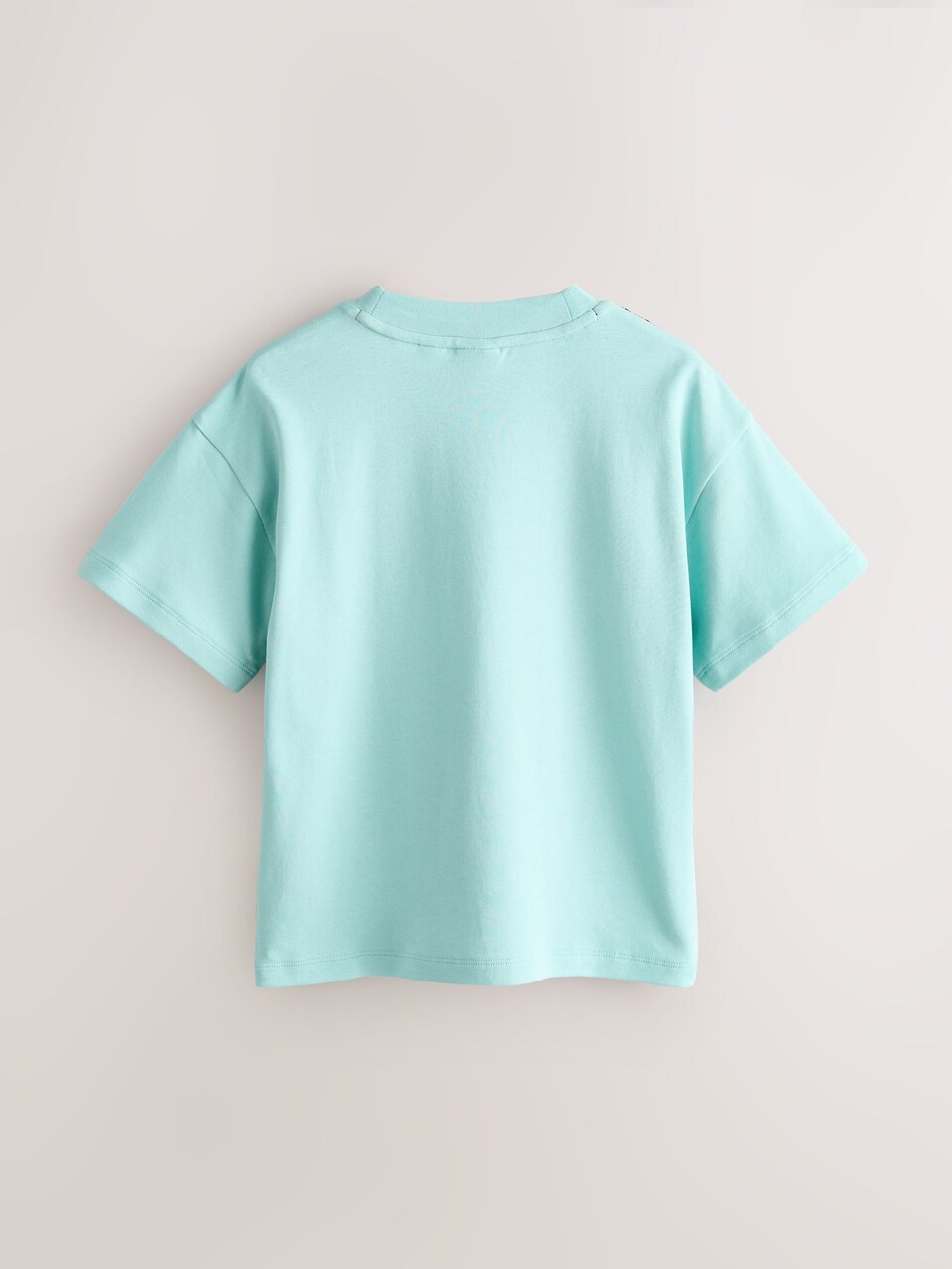 Baker by Ted Baker Camisola em Menta | ABOUT YOU