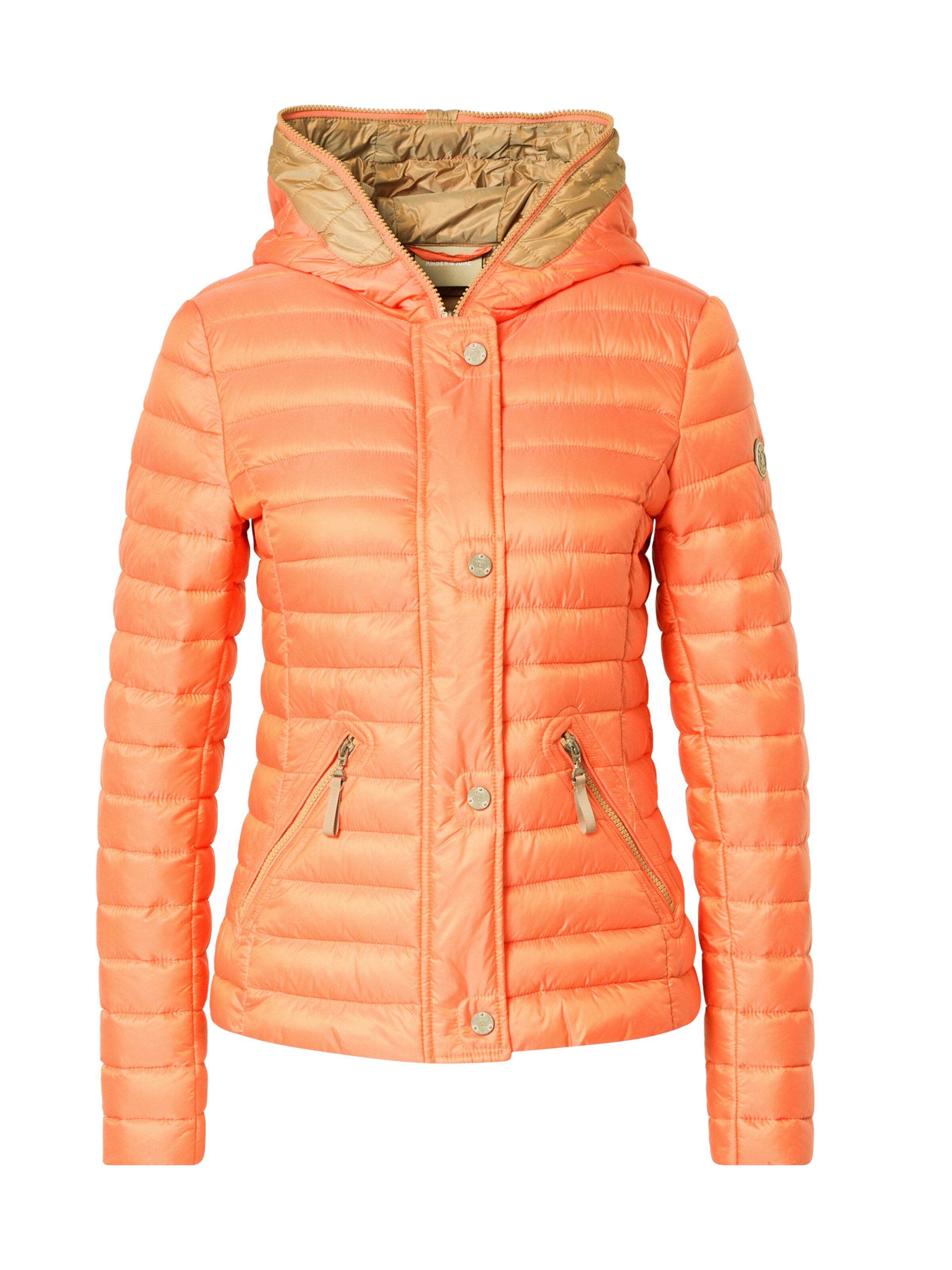 Winterjassen voor dames kopen | ABOUT YOU