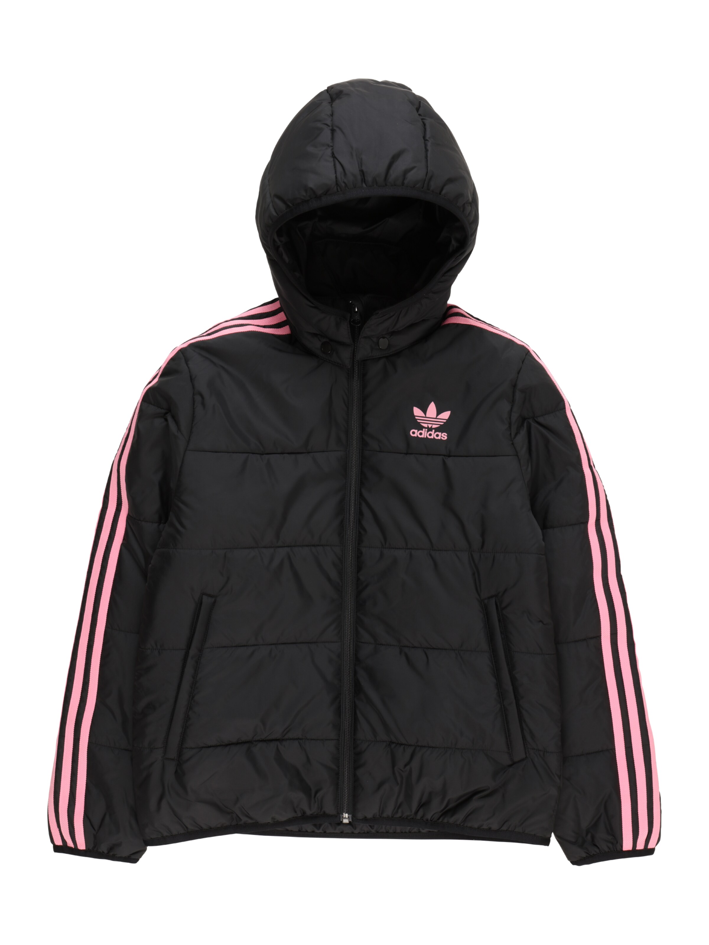 ADIDAS ORIGINALS Winter Jacket 'Adicolor' in Black | ABOUT YOU
