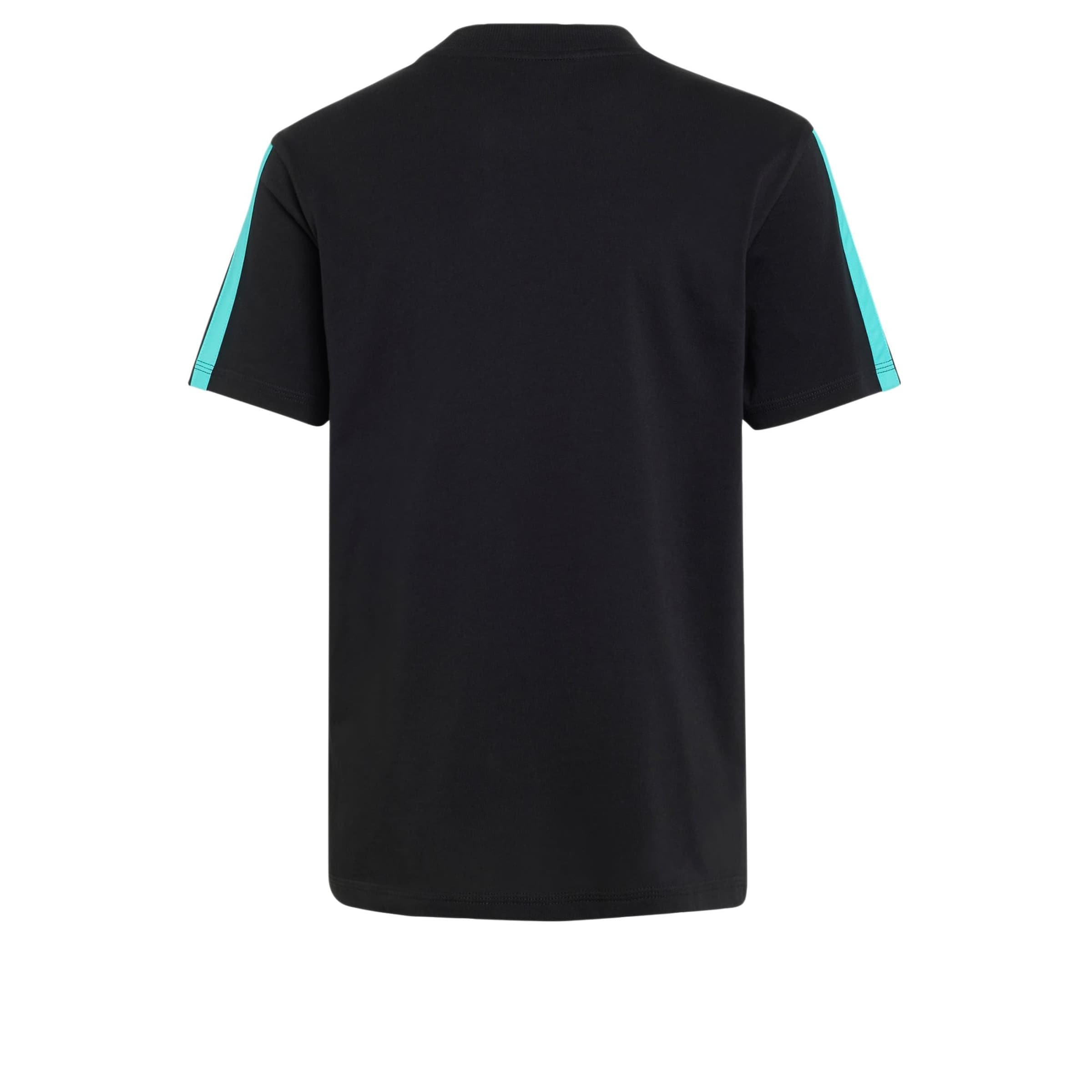 ADIDAS PERFORMANCE Functioneel shirt 'Mercedes-AMG Petronas Formula 1 ...
