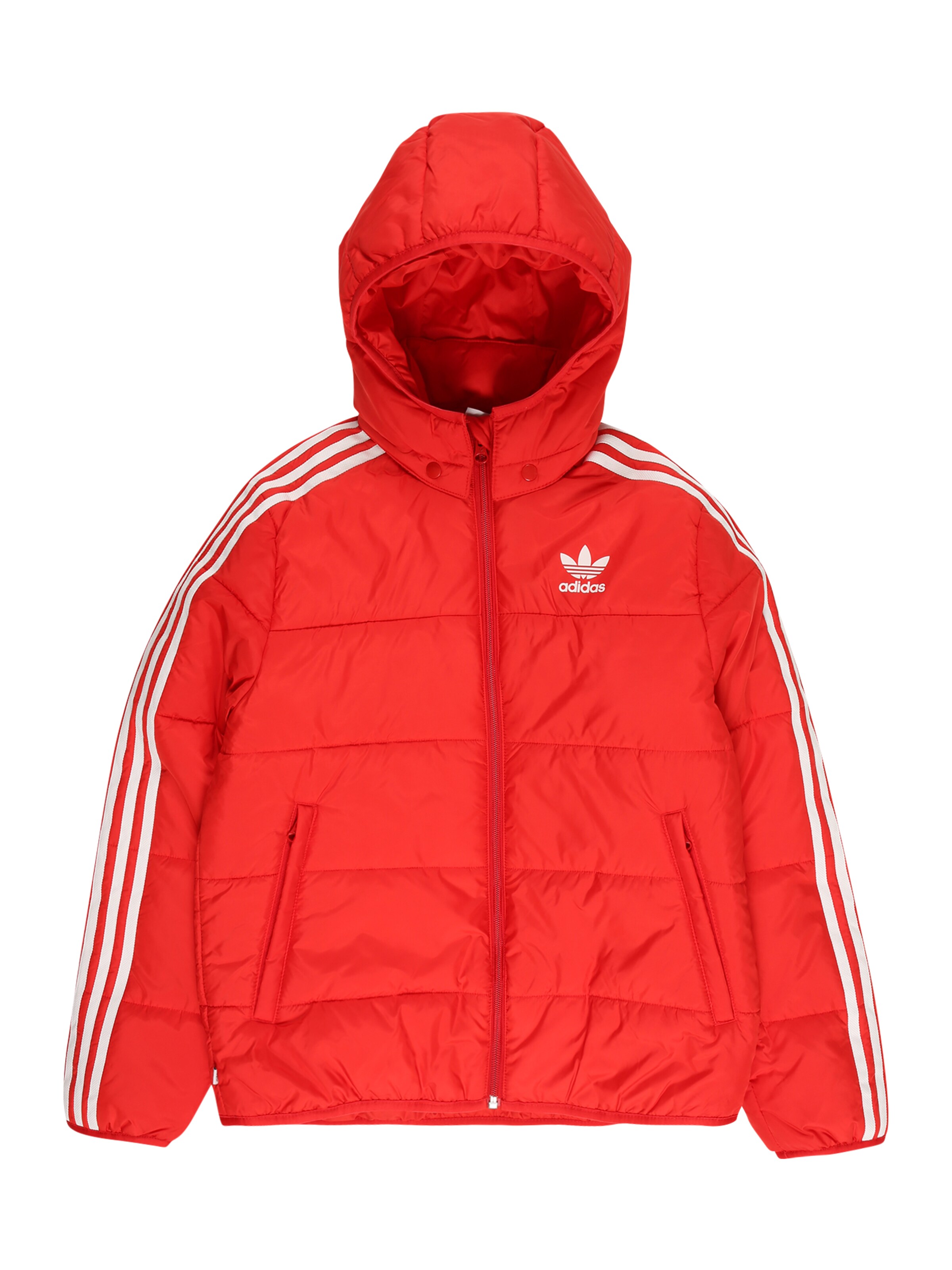 ADIDAS ORIGINALS Jacke in Dunkelgrün | ABOUT YOU