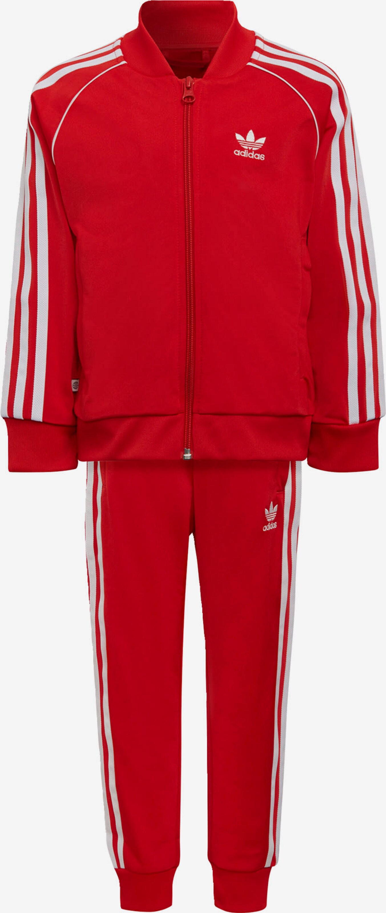 Raudona ADIDAS ORIGINALS Treningas 'Adicolor Sst' | ABOUT YOU