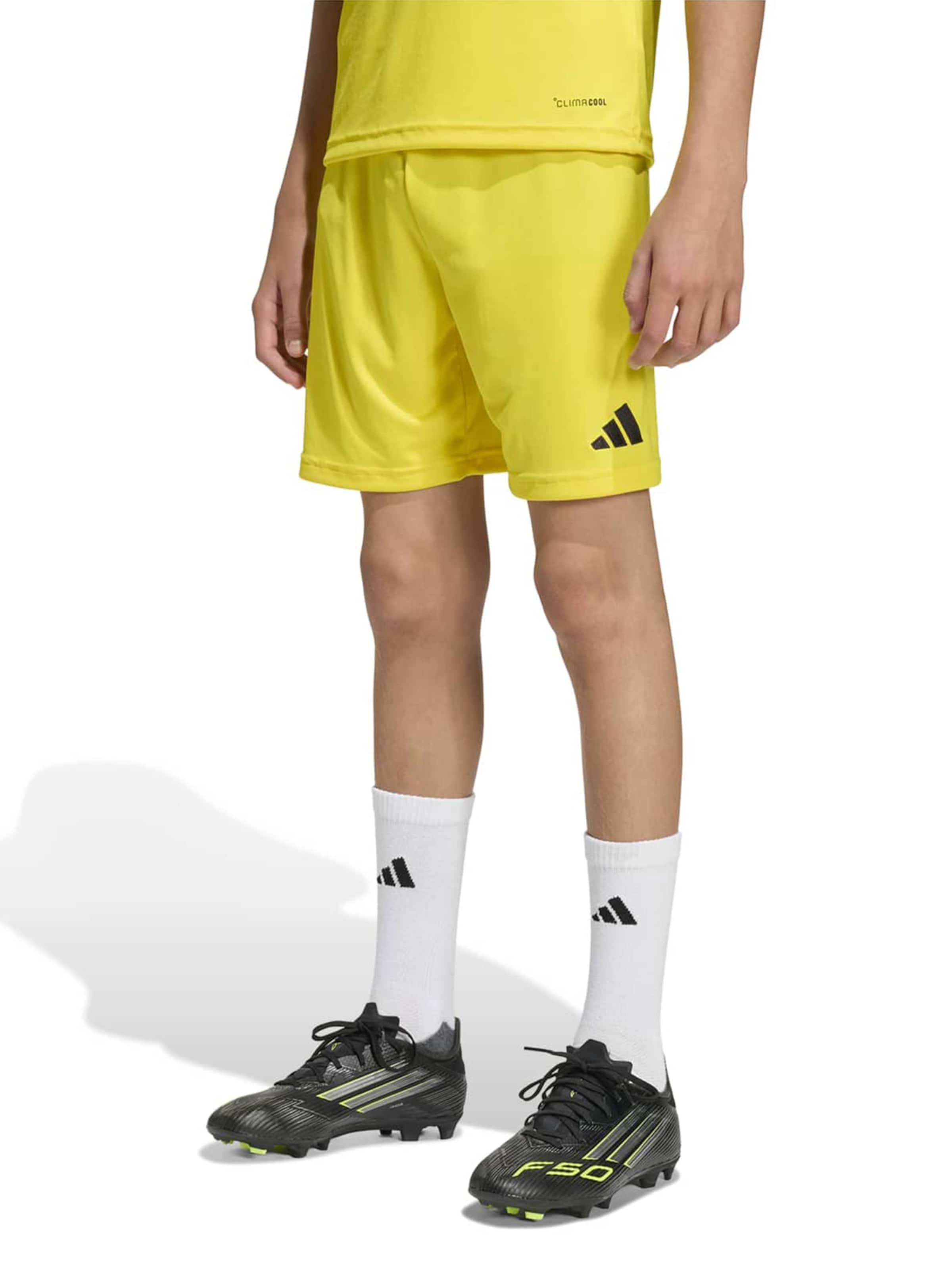 ADIDAS PERFORMANCE Štandardný strih Športové nohavice 'ENT26' vo farbe ...