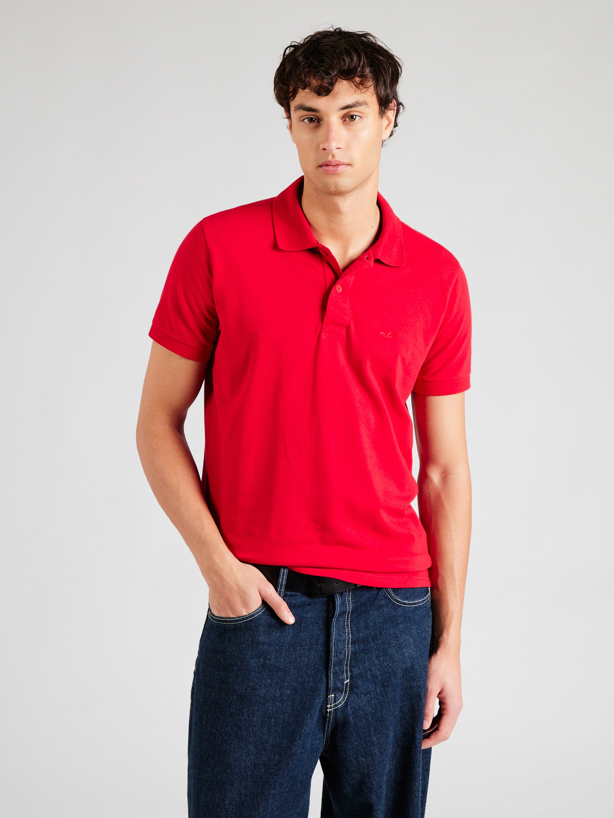 HOLLISTER Polo shirts for men Buy online ABOUT YOU